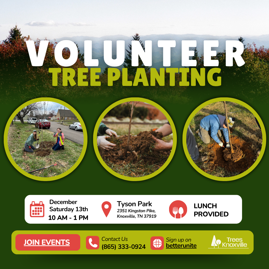 Community Tree Planting at Tyson Park - Trees Knoxville